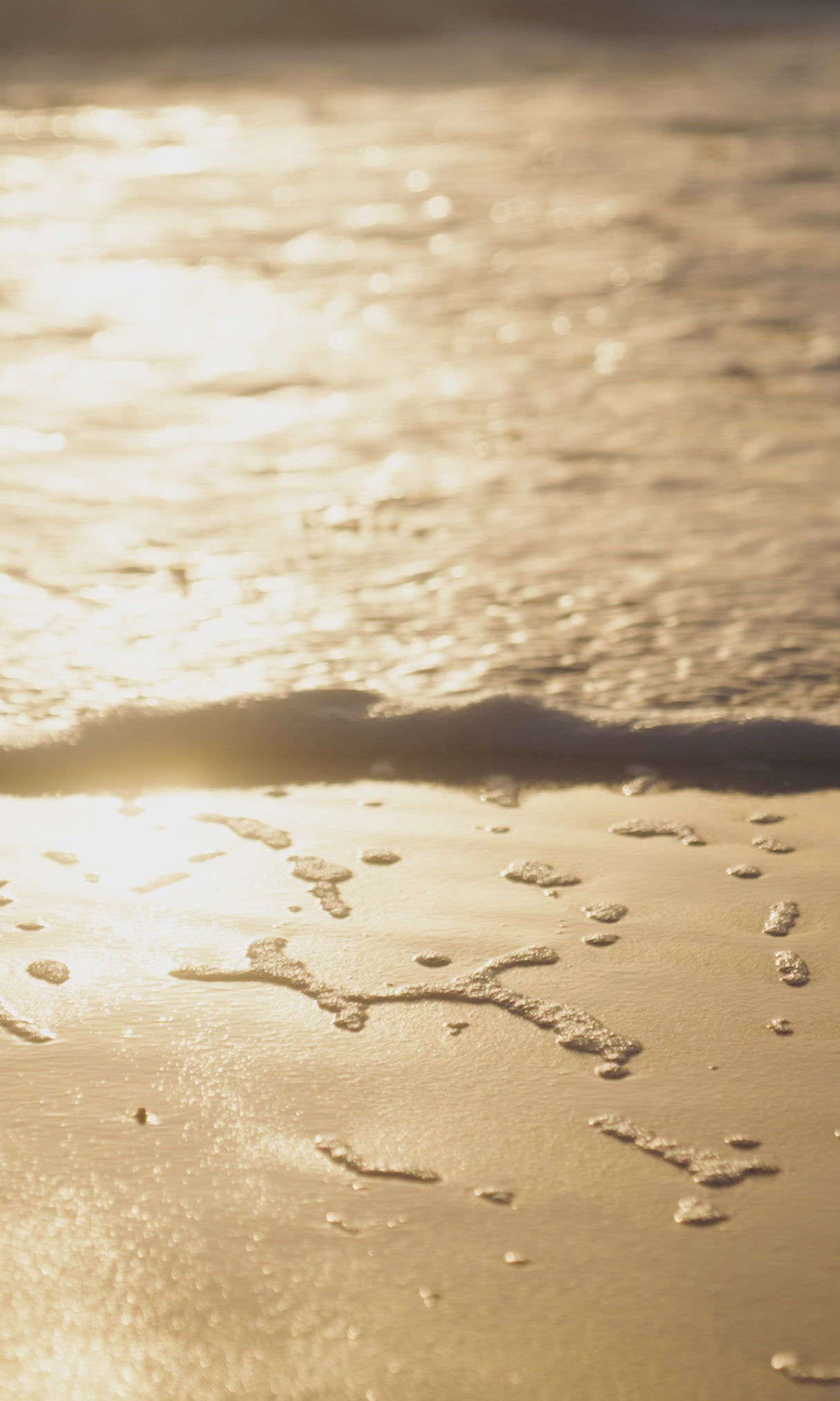 Studio Lexi - Dresses